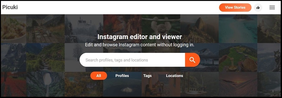 11 Best Instagram Story Viewer (Anonymous Access): 2023 Updated