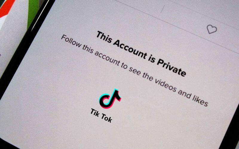 How to View Private TikTok Account in Jan 2023 | DowneLink