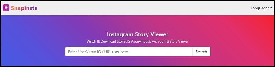 11 Best Instagram Story Viewer (Anonymous Access): 2023 Updated
