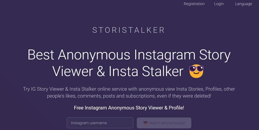 11 Best Instagram Story Viewer (Anonymous Access): 2023 Updated