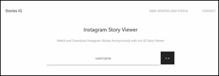 11 Best Instagram Story Viewer (Anonymous Access): 2023 Updated